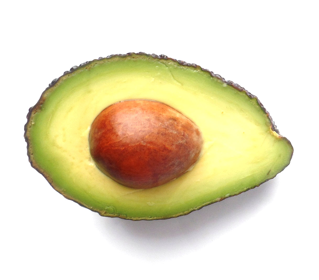 Faire pousser un noyau d'avocat - CAROLINE MUNOZ